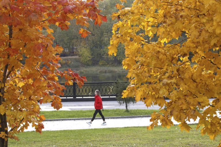 Llega el otoño, estación del año que enamora con sus colores y clima